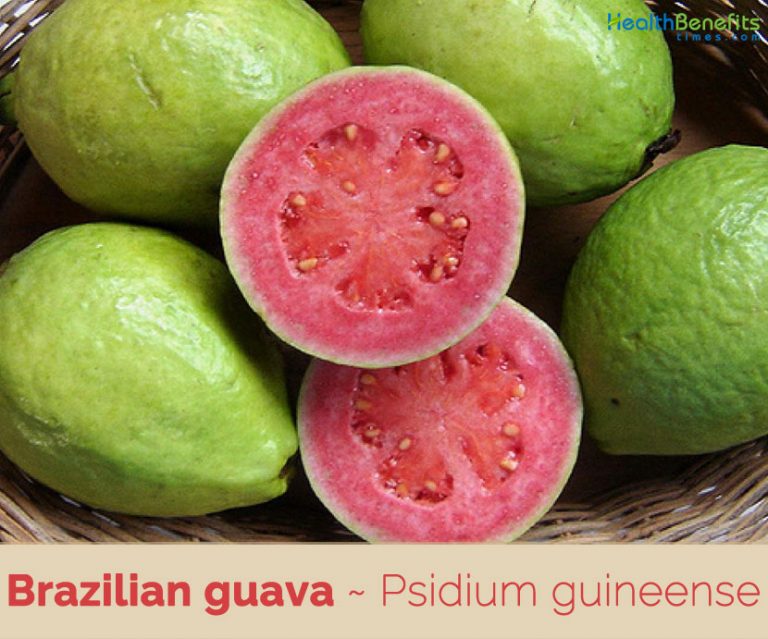 Health benefits of Brazilian guava - Health Benefits