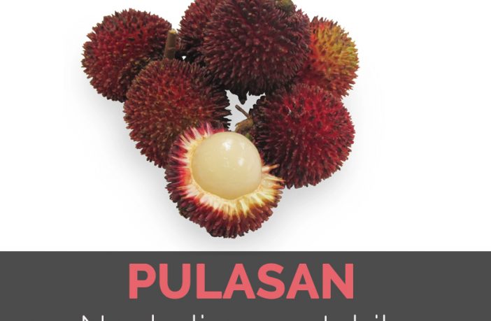 Buah Pulasan