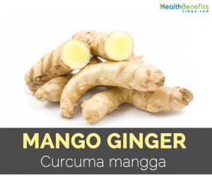 Health Benefits of Mango Ginger - Health Benefits