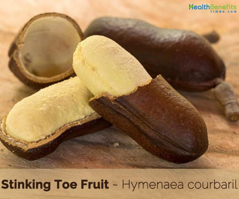 Health benefits of Stinking Toe Fruit - Health Benefits