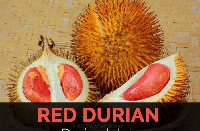 Red Durian