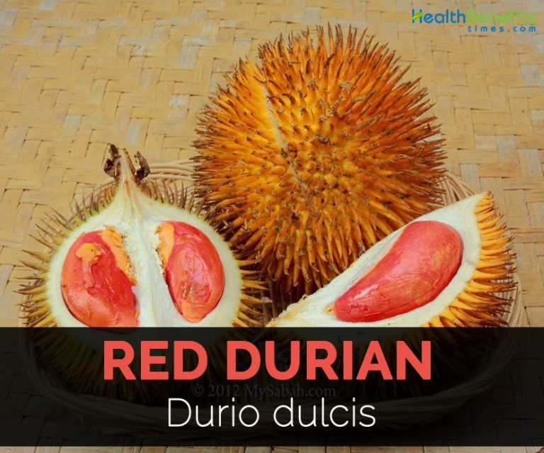 Know about Red Durian - Health Benefits