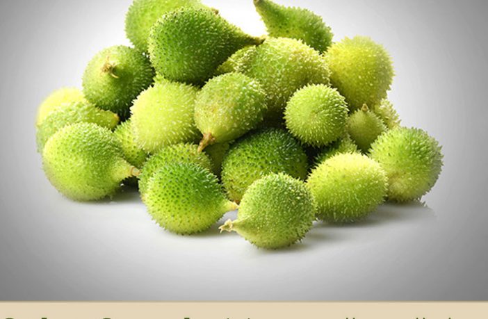 7 Top health benefits of Pointed gourd/parwal | HB times