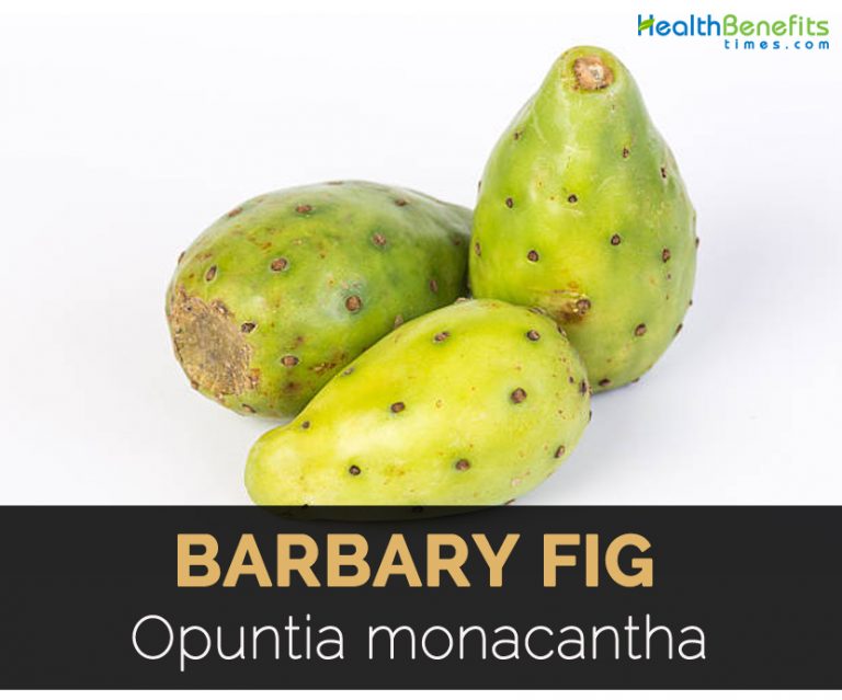 Health Benefits of Barbary fig - Health Benefits