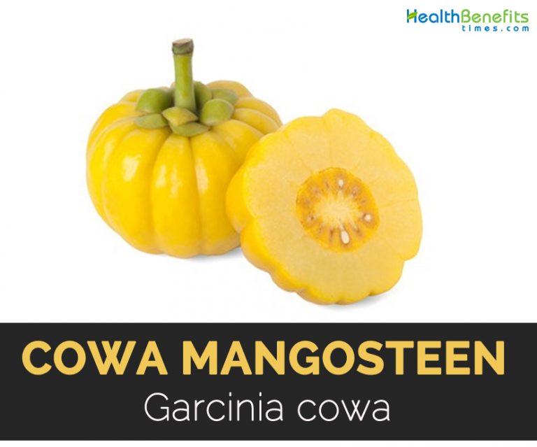 Know about the Cowa Mangosteen - Health Benefits