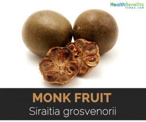 Health Benefits of Monk fruit - Health Benefits