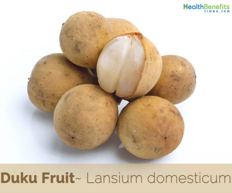 Health benefits of Duku Fruit - Health Benefits
