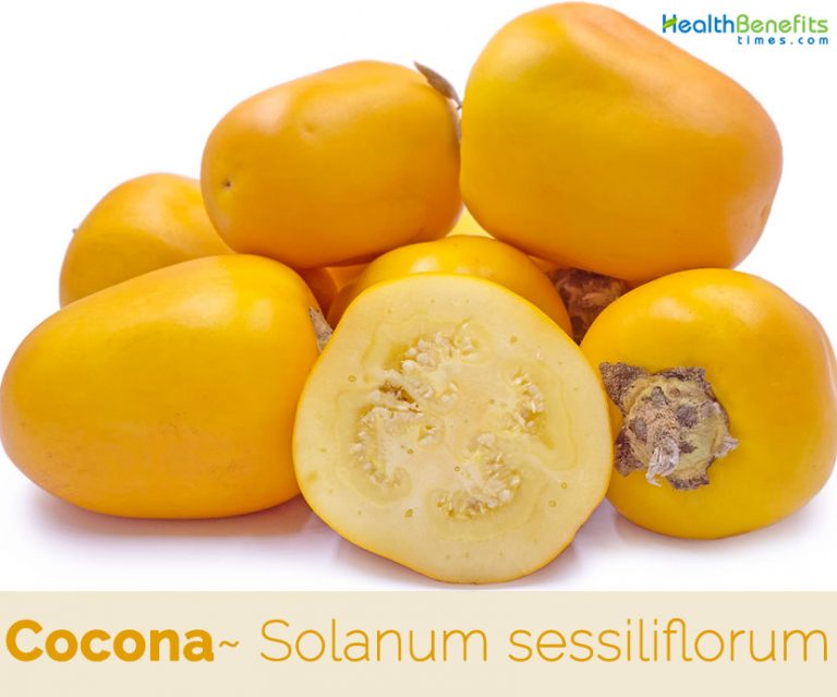 Health benefits of Cocona Fruit - Health Benefits