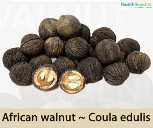 Health benefits of African Walnuts ~ Coula edulis - Health Benefits