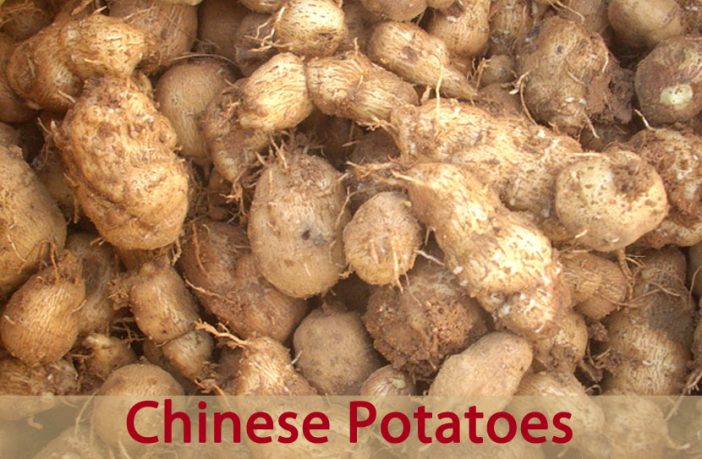 Russet Potatoes Facts and Nutritional Value