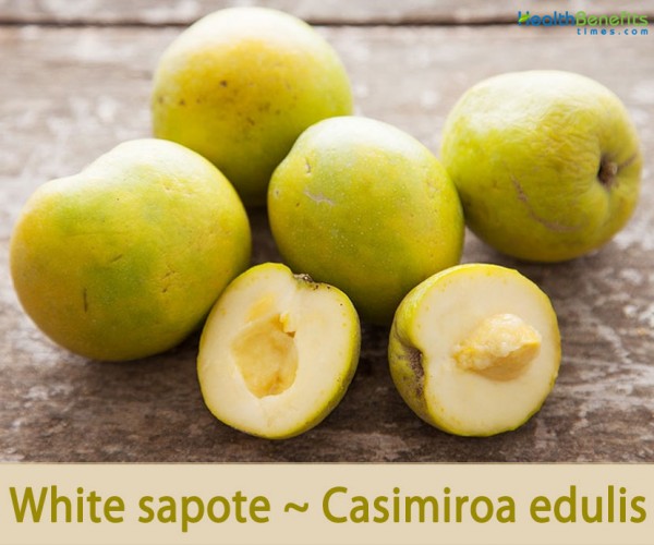 White Sapote facts and health benefits