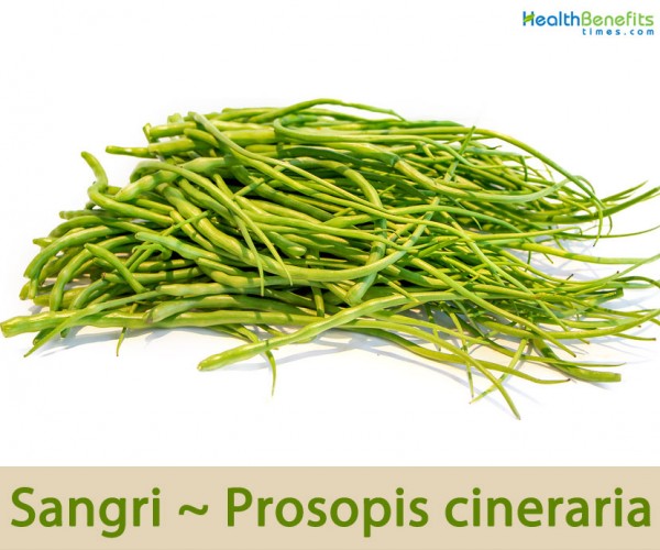 Sangri facts and health benefits
