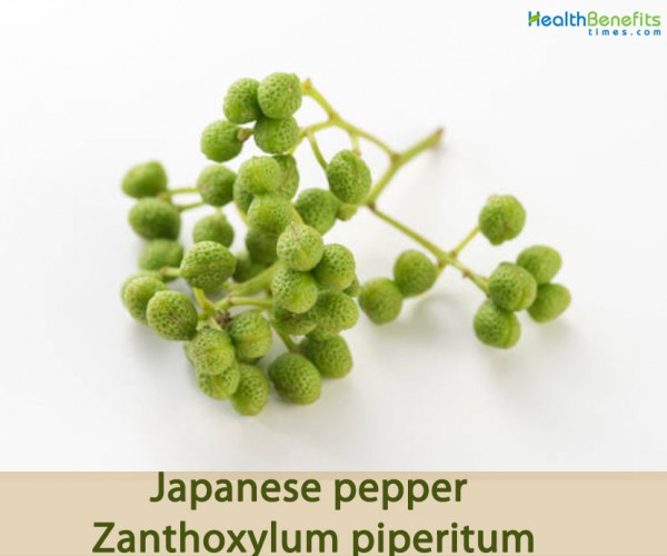 Japanese pepper facts and health benefits