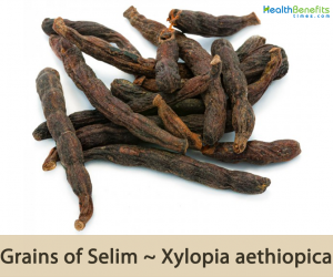 Health benefits of Grains of Selim - Health Benefits