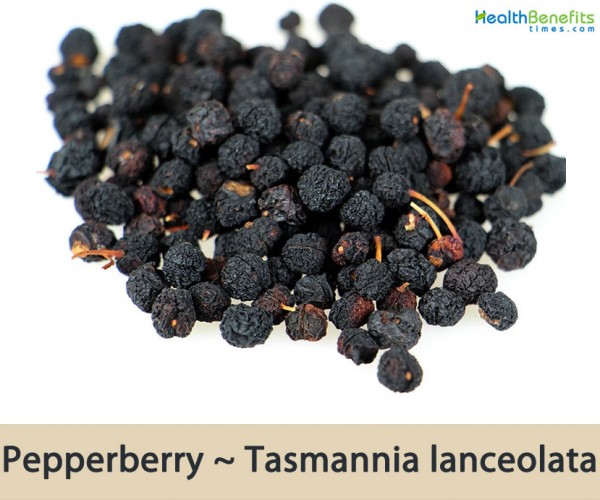 Pepper berry facts and health benefits