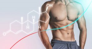 Does Testosterone Help Build Muscle - Health Benefits