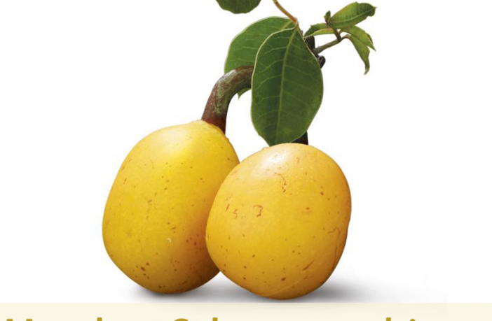 Salak Fruit facts and health benefits