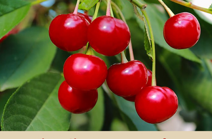 19 Top health benefits of Alum| HB times
