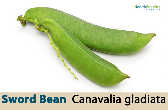 Salak Fruit facts and health benefits