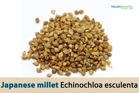 Health benefits of Japanese millet - Health Benefits