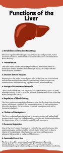 Functions-of-Liver | Health Benefits