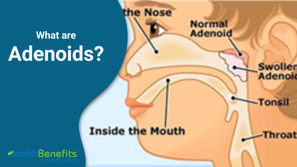 What are Adenoids | Health Benefits