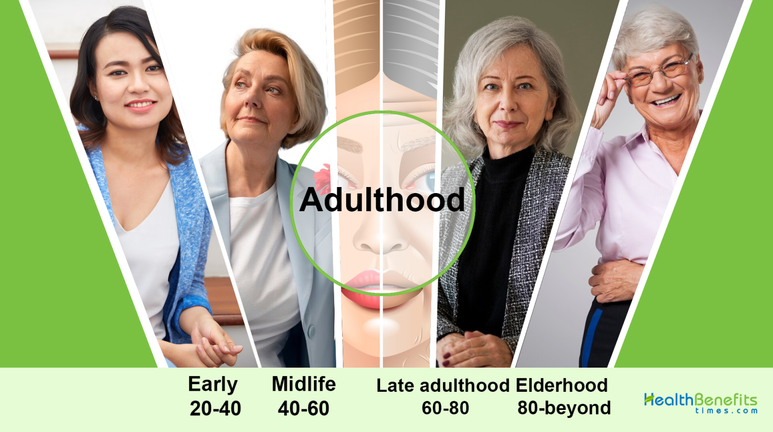 What is Adulthood? - Health Benefits