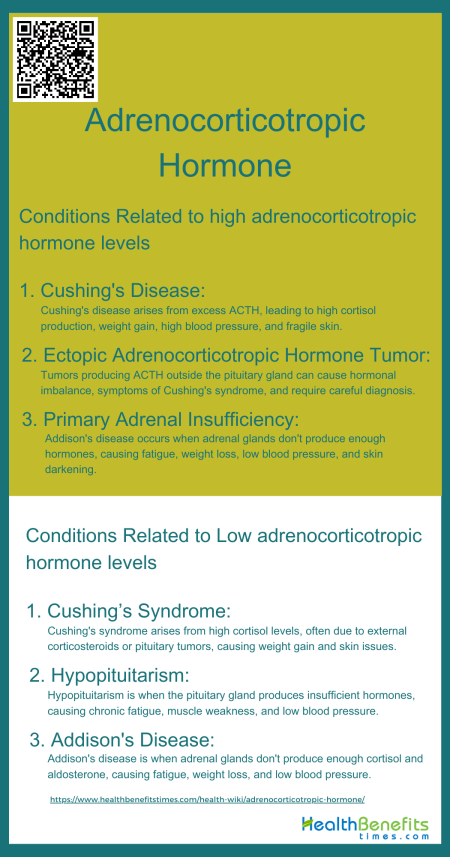 What is Adrenocorticotropic Hormone (ACTH)? - Health Benefits