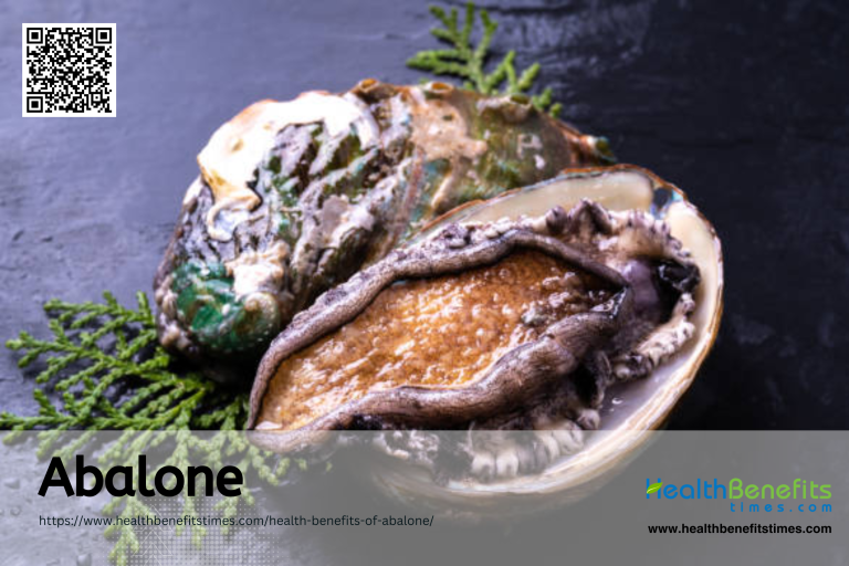 Health Benefits of Abalone - Health Benefits