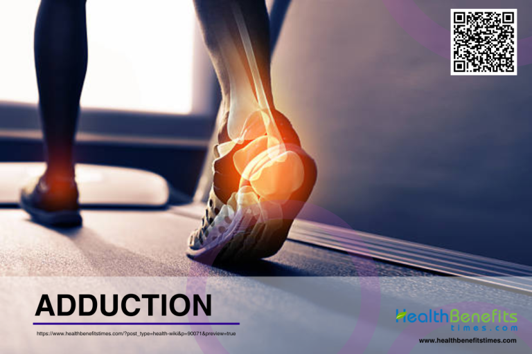 What is Adduction? - Health Benefits