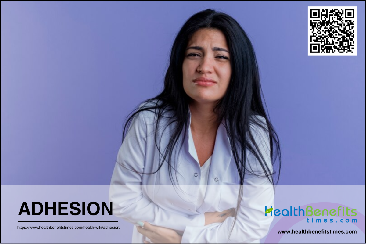 What is Adhesion? - Health Benefits