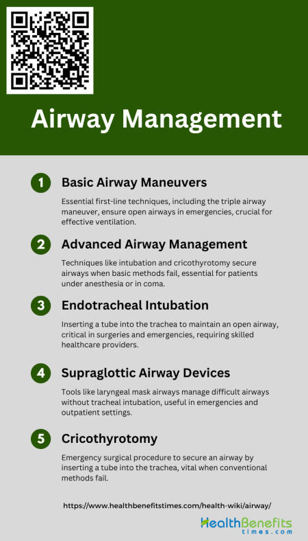 What is Airway? - Health Benefits
