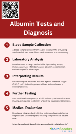 What is Albumin? Its Role in Your Health - Health Benefits