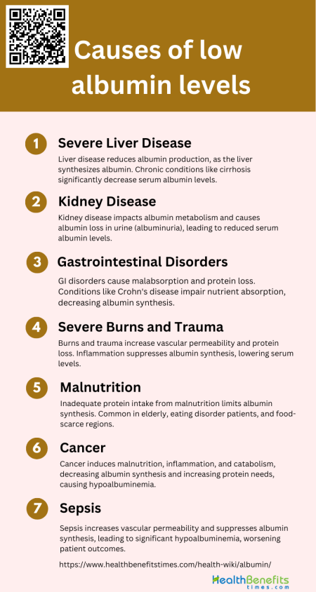 What is Albumin? Its Role in Your Health - Health Benefits