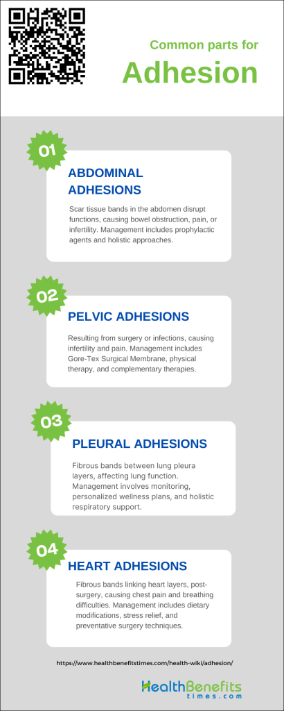 Common parts for Adhesion | Health Benefits