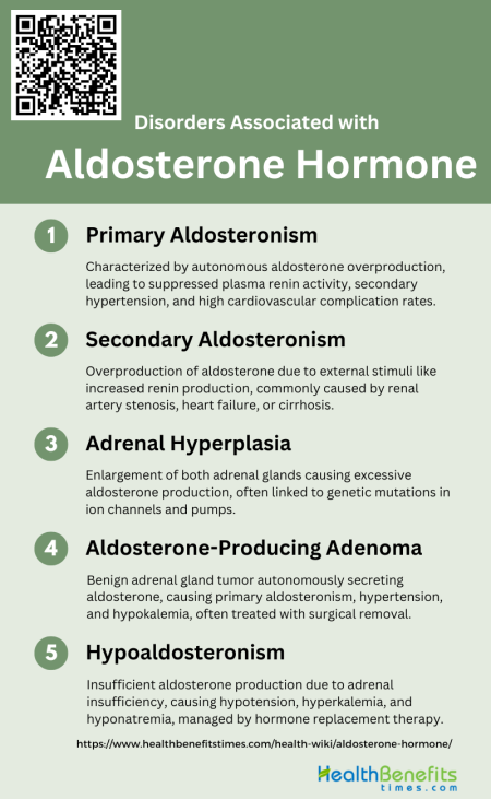 What is Aldosterone Hormone? And why is It Important? - Health Benefits