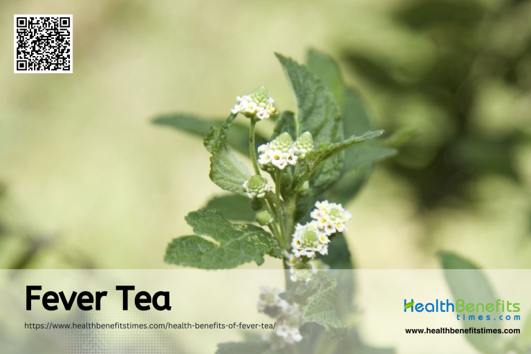 Health benefits of Fever Tea (Lippia Javanica) - Health Benefits