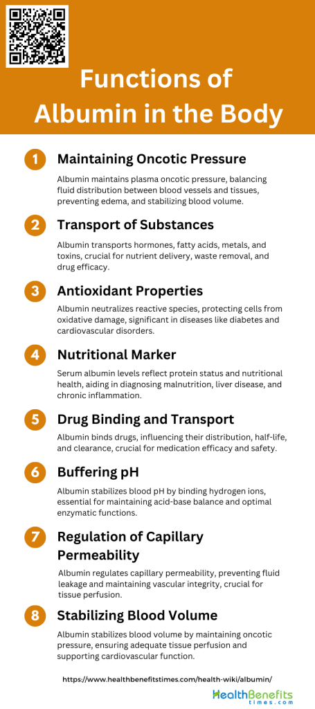 What is Albumin? Its Role in Your Health - Health Benefits