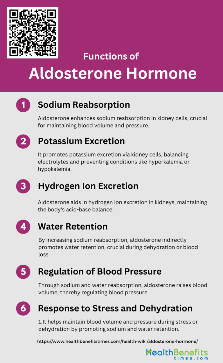 What is Aldosterone Hormone? And why is It Important? - Health Benefits