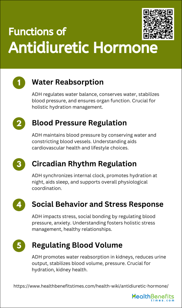 What is Antidiuretic Hormone? - Health Benefits