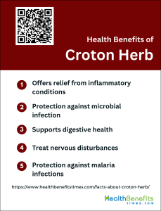 Facts about Croton Herb (Codiaeum variegatum) - Health Benefits