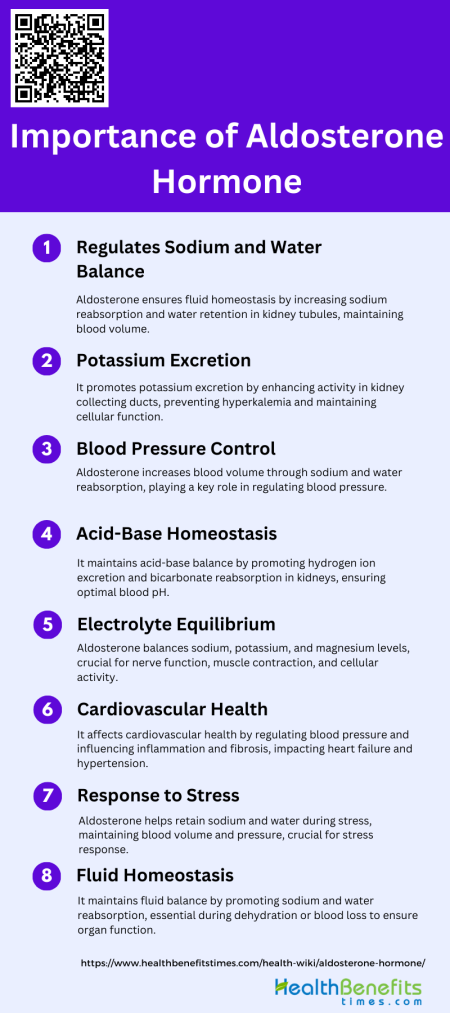 What is Aldosterone Hormone? And why is It Important? - Health Benefits