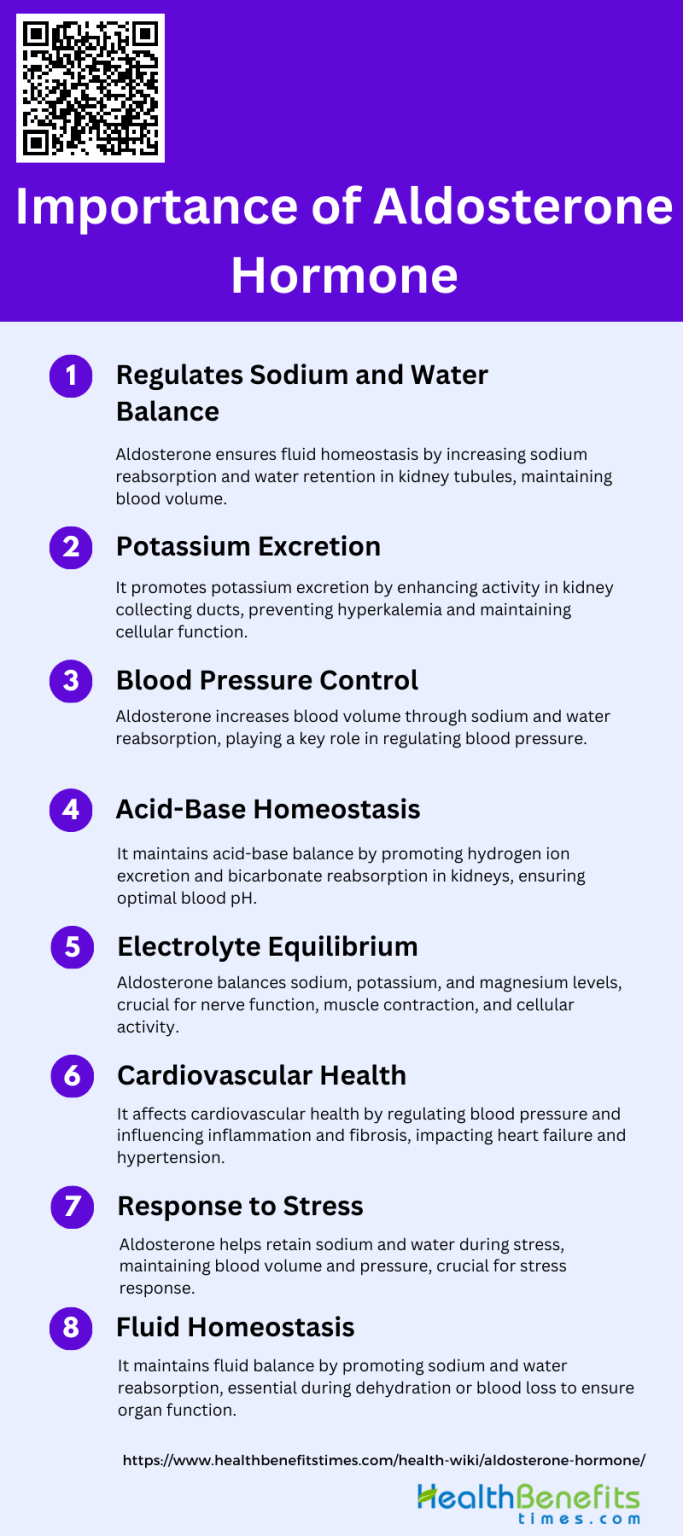 What is Aldosterone Hormone? And why is It Important? - Health Benefits
