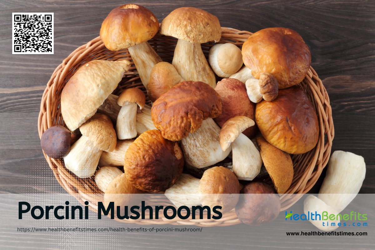 Health benefits of Porcini Mushroom - Health Benefits