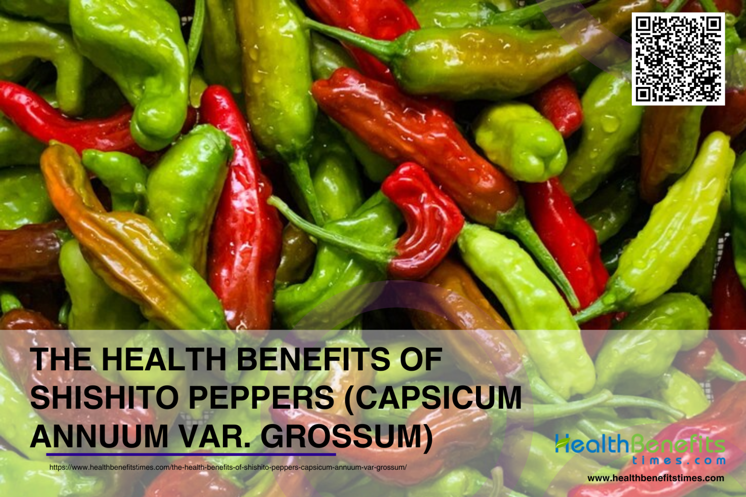 The Health Benefits of Shishito Peppers (Capsicum annuum var. grossum ...