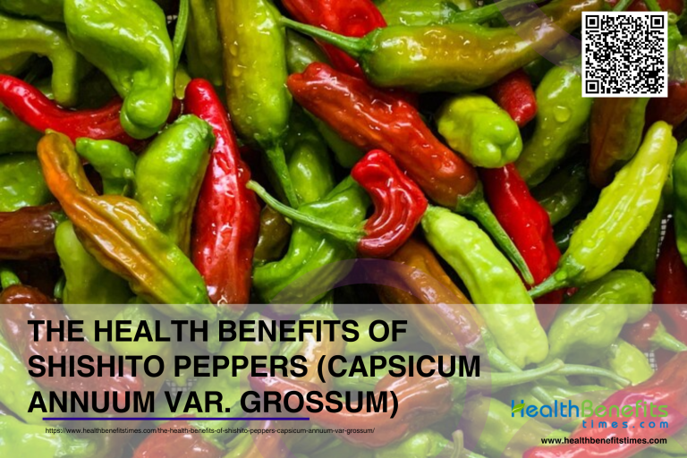 The Health Benefits of Shishito Peppers (Capsicum annuum var. grossum ...