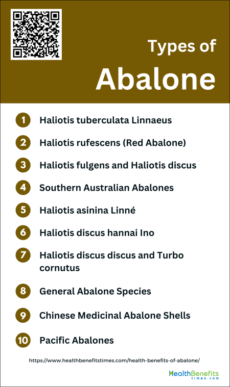 Health Benefits of Abalone - Health Benefits