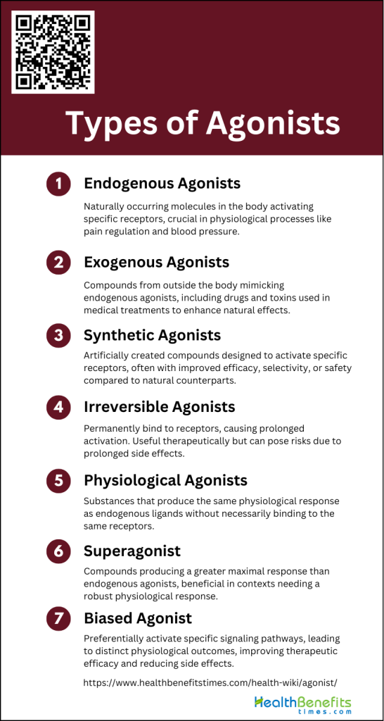 What is agonist? - Health Benefits