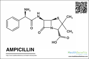 What is Ampicillin? Uses, Side Effects and Warnings - Health Benefits