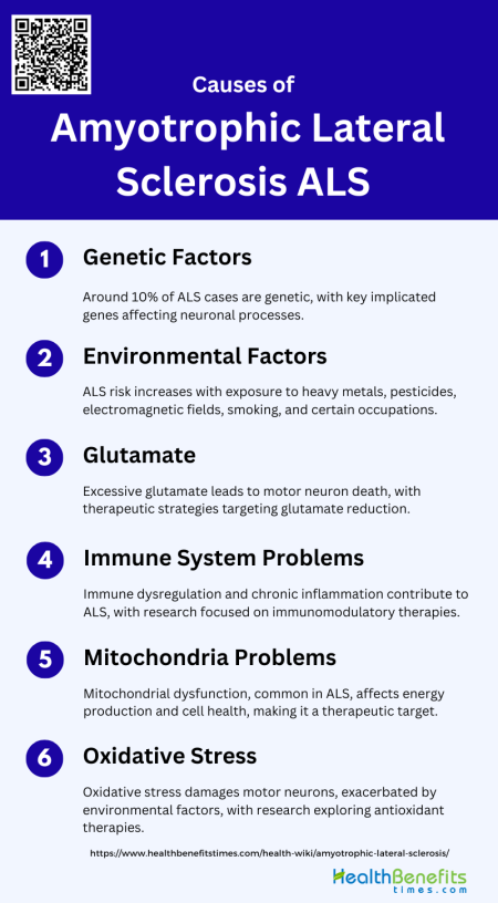 What is Amyotrophic lateral sclerosis? | Health Benefits